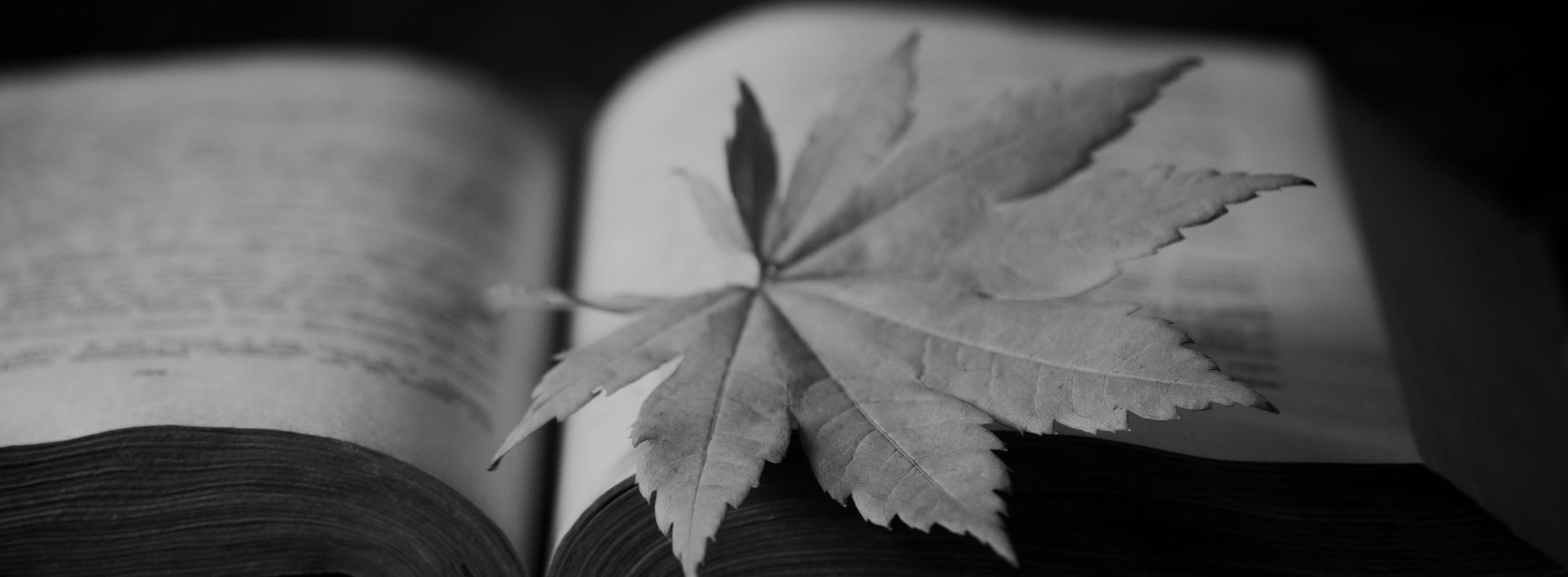 Our Story | Revay | Canadian | Construction Claims Consulting Firm